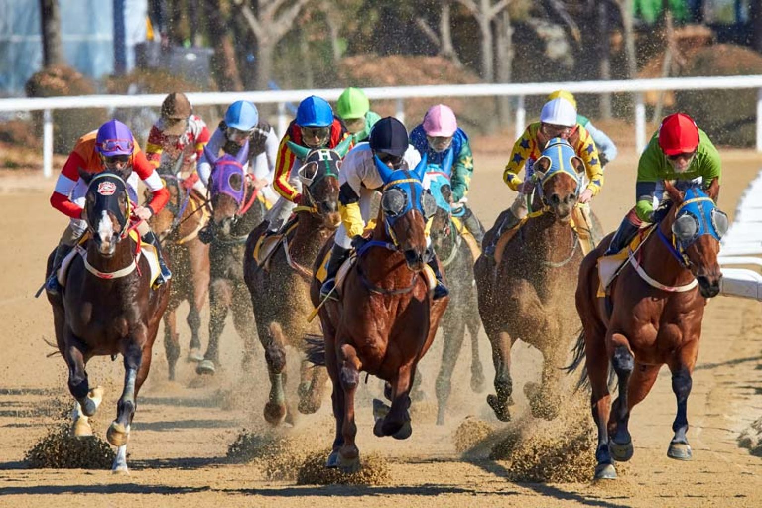 How To Watch Horse Racing Live Stream Free In The UK [MY 2025 GUIDE]
